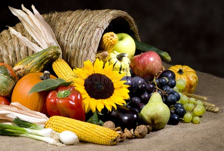 Cornucopia stock image. Image of kernel, cornucopia, nourishment - 3104405
