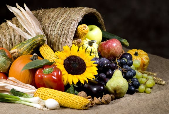 Cornucopia stock image. Image of kernel, cornucopia, nourishment - 3104405