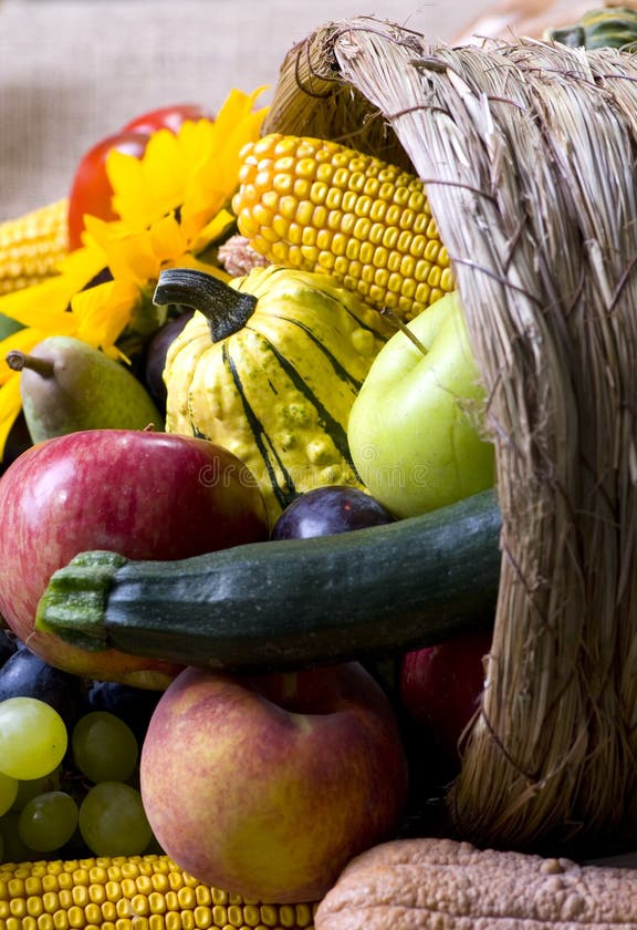 Cornucopia stock photo. Image of apple, feast, pilgrims - 3104434