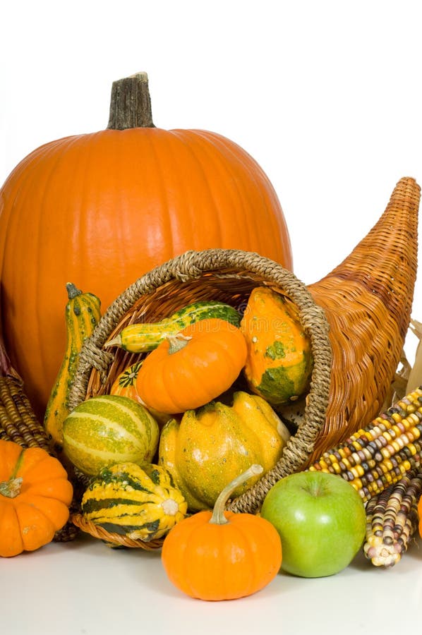 1+ Cornocopia Free Stock Photos - StockFreeImages