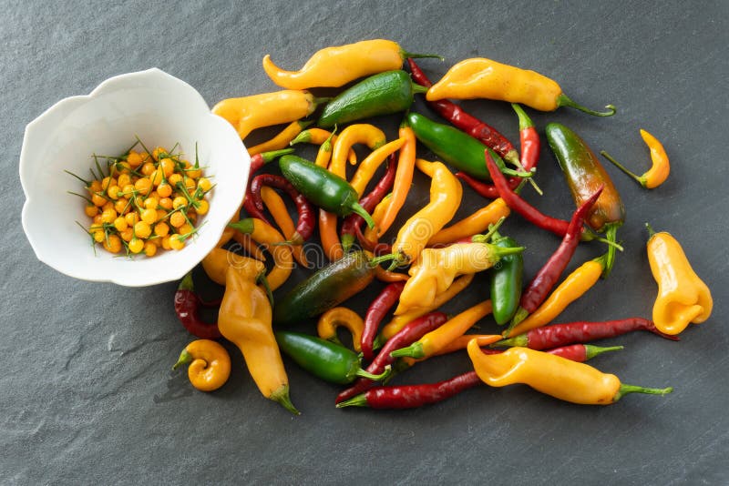 A Cornucopia of Brightly Colored Peppers Harvested from the Garden in ...
