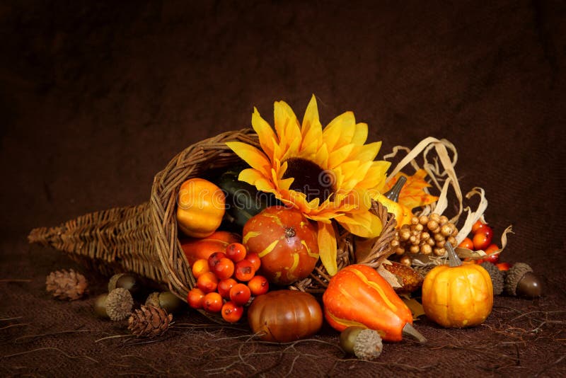 Cornucopia con le zucche fotografia stock. Immagine di stagione - 15489484