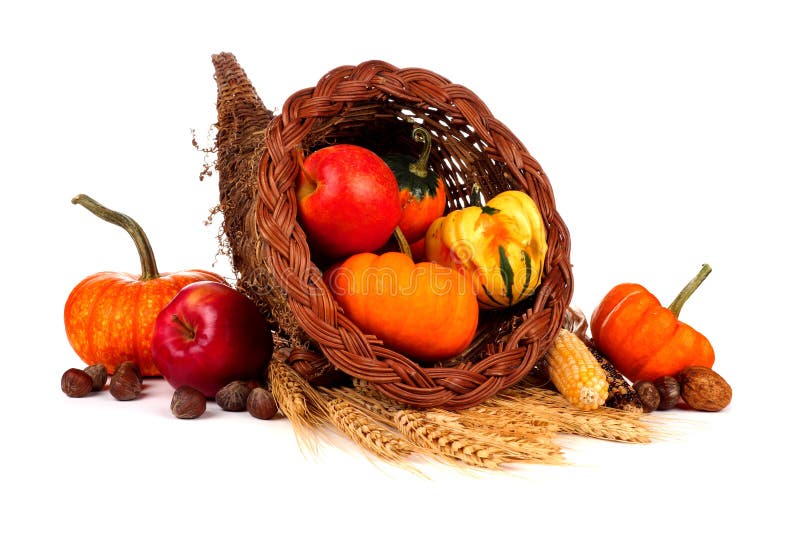 Cornucopia con le zucche fotografia stock. Immagine di stagione - 15489484