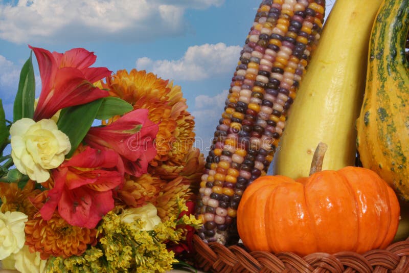 Cornucopia stock photo. Image of corn, cornucopia, blue - 1477972