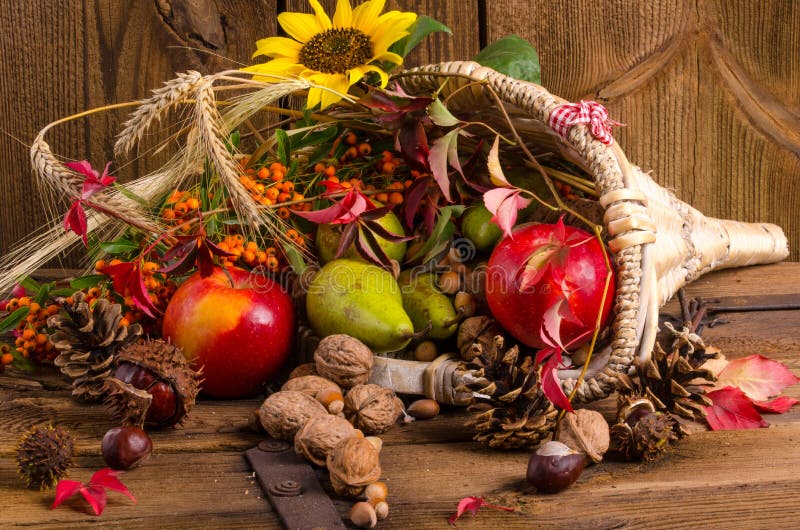 Cornucopia stock photo. Image of leaf, dried, holiday - 45266274