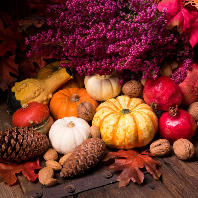 Cornucopia stock image. Image of brown, fresh, dried - 78924239
