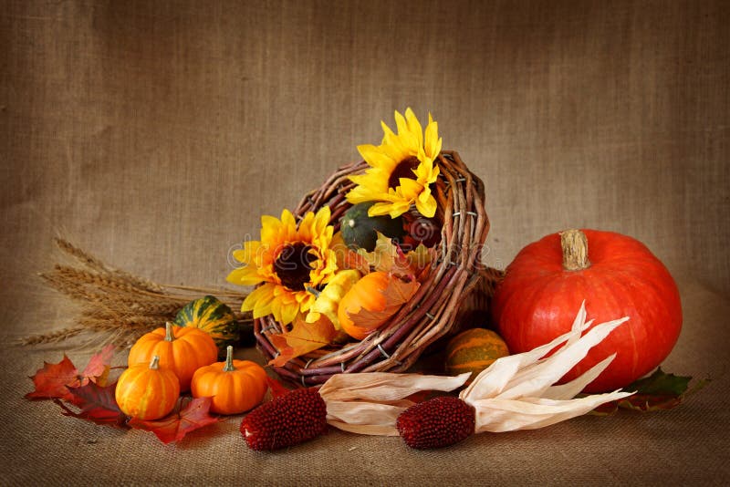 Thanksgiving Cornucopia with Pumpkins, Apples and Gourds Isolated on ...
