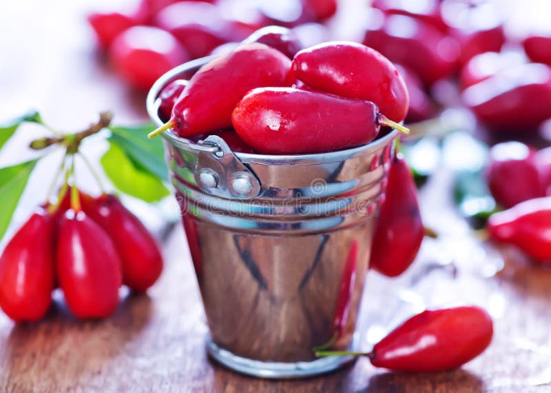 Cornus stock photo. Image of cotoneaster, crimson, fruit - 60135192
