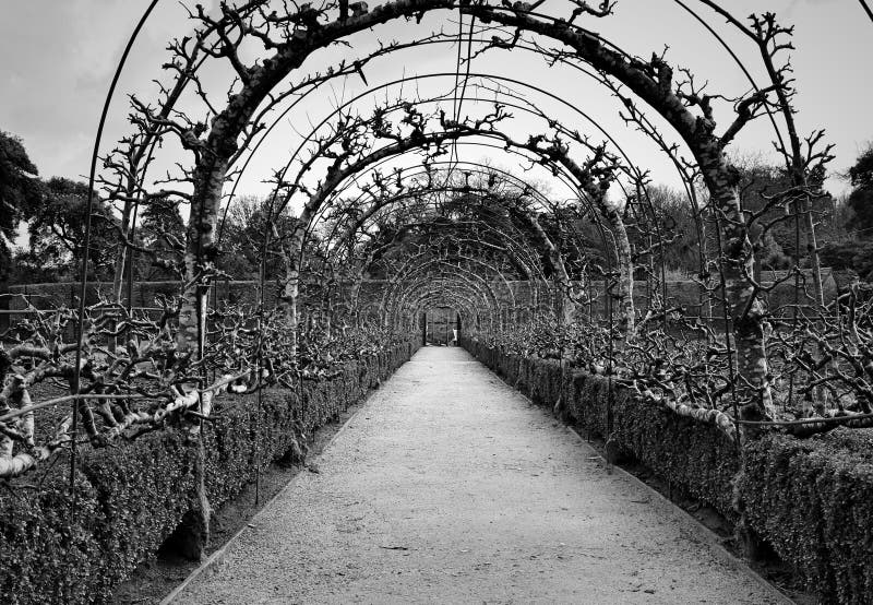 Cornwall, the Lost Gardens of Heligan Stock Image - Image of front ...