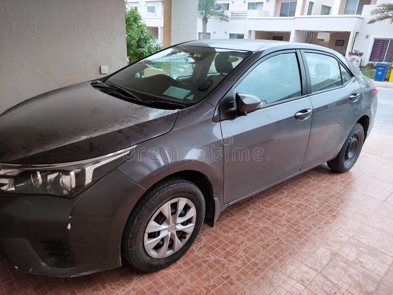 Corolla Gli Stock Photos - Free & Royalty-Free Stock Photos from Dreamstime