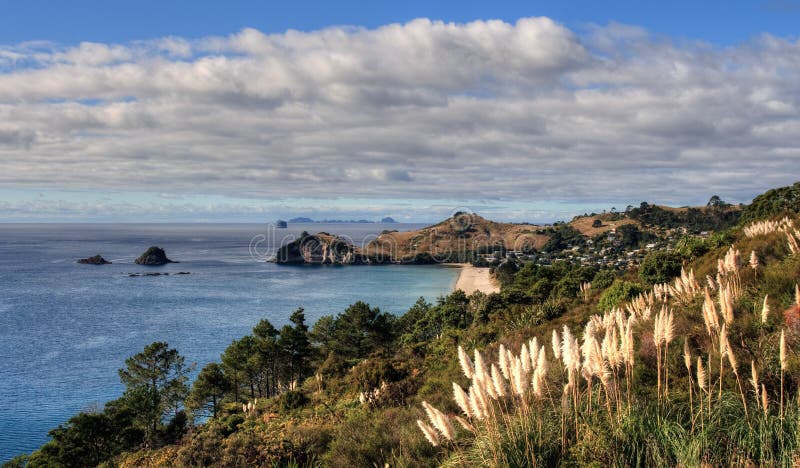 Coromandel Coast stock photo. Image of rural, peninsula - 16704184