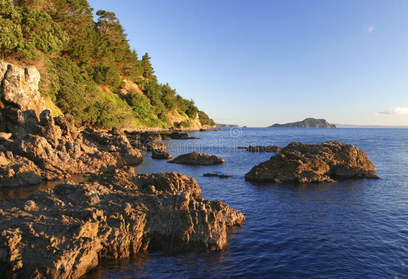 Coromandel Coast stock image. Image of coast, coastal - 6878699