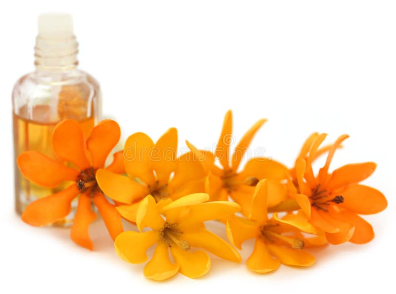 Coronata De La Gardenia Con La Esencia Foto de archivo - Imagen de ...