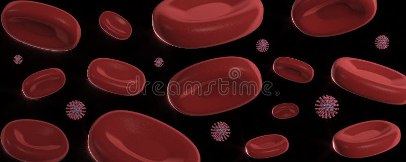 Coronavirus Covid 19 in Blood with Eritrocite. Illustration for Web ...