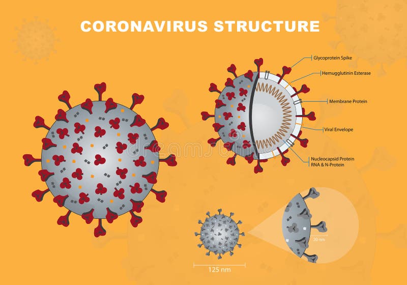Virus Structure Under Microscope Set. Red Molecules Herpes Virus Green ...