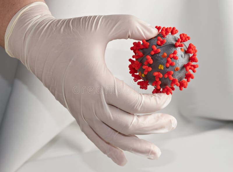 In gloved hand stock photo. Image of disinfection, handle - 178879516