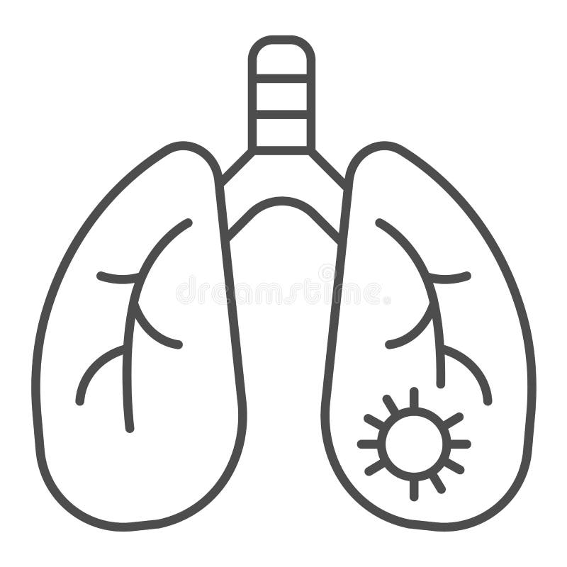 Lungs Thin Line Icon Symmetric Organ Of Human Chest Anatomy And