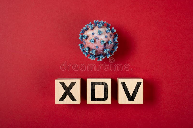 Coronavirus and XDV Variant on Red Background Stock Photo - Image of ...