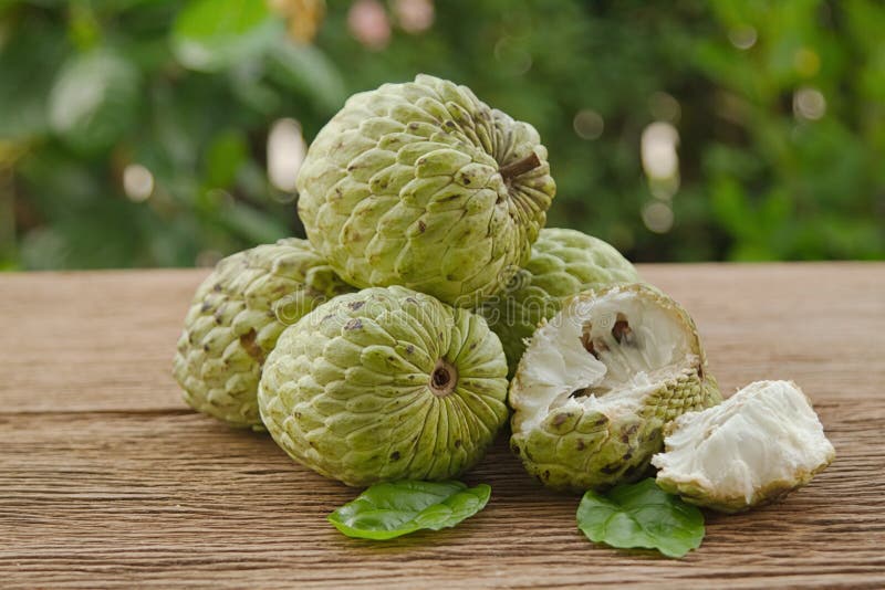 Corossol Ou Fruit De Pomme Cannelle Image stock - Image du sain, sucre ...