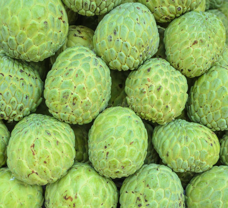 Corossol Ou Fruit De Pomme Cannelle Image stock - Image du pomme ...