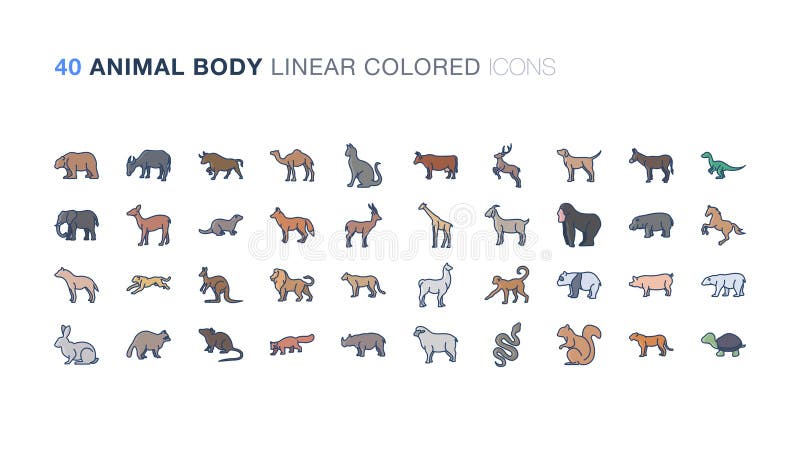 Corpo animal de cor linear ilustração stock. Ilustração de diagrama ...