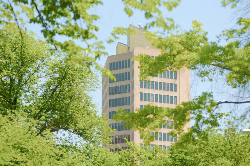 Corporate High Rise Behind Trees Stock Image - Image of success ...