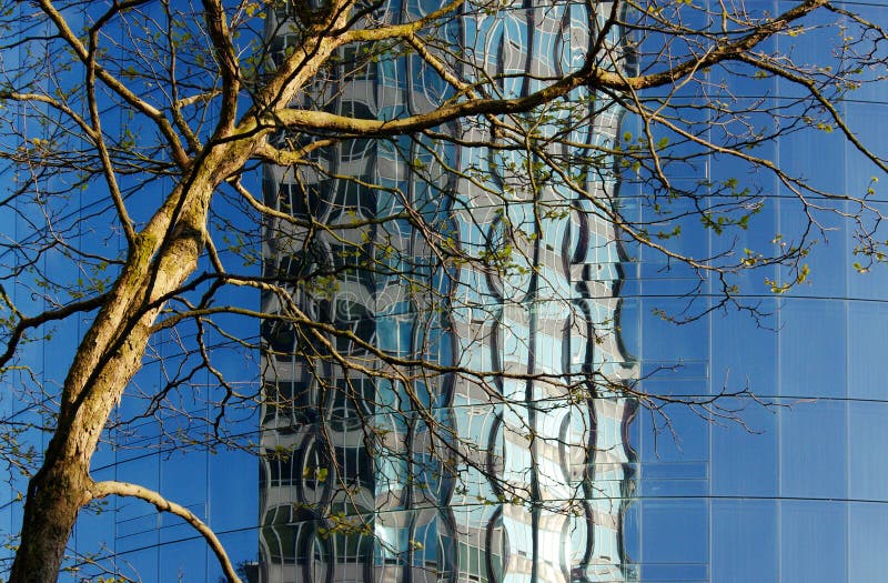 Corporate nature stock image. Image of city, tree, corporate - 5291555