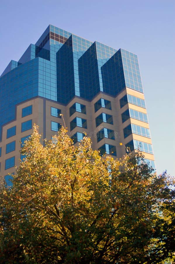 Corporate Office Building stock image. Image of archeitectural - 339985