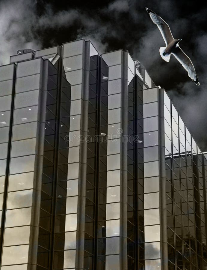 Corporate Office Building and Seagull Stock Image - Image of flight ...