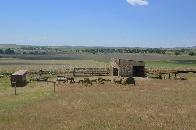 Caballos En Corral Del Rancho Foto de archivo - Imagen de caballos ...