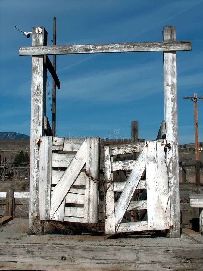 Corral Gate stock photo. Image of cows, equipment, manage - 74202