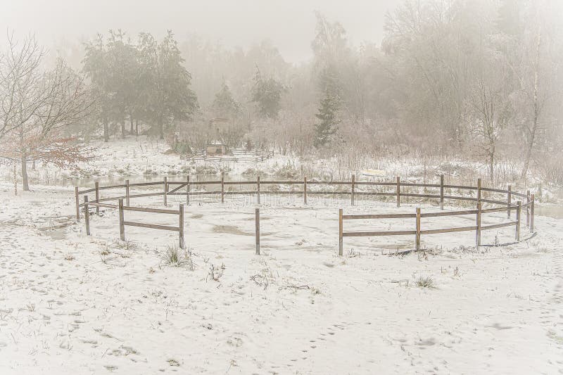 Corral for Horses in the Snow in Winter Stock Photo - Image of tree ...