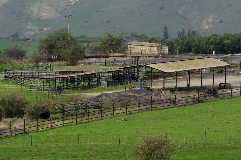 Pista Del Corral Y Del Rancho En Nevada Norcentral Foto de archivo ...