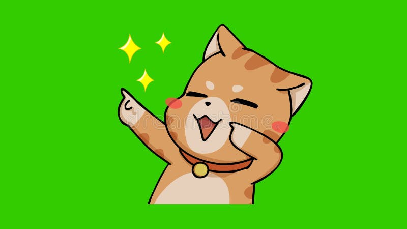 Correct Gesture Cat Animation - Green Screen Stock Video - Video of ...
