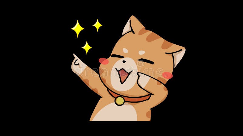 Correct Gesture Cat Animation - Transparent Background Stock Video ...