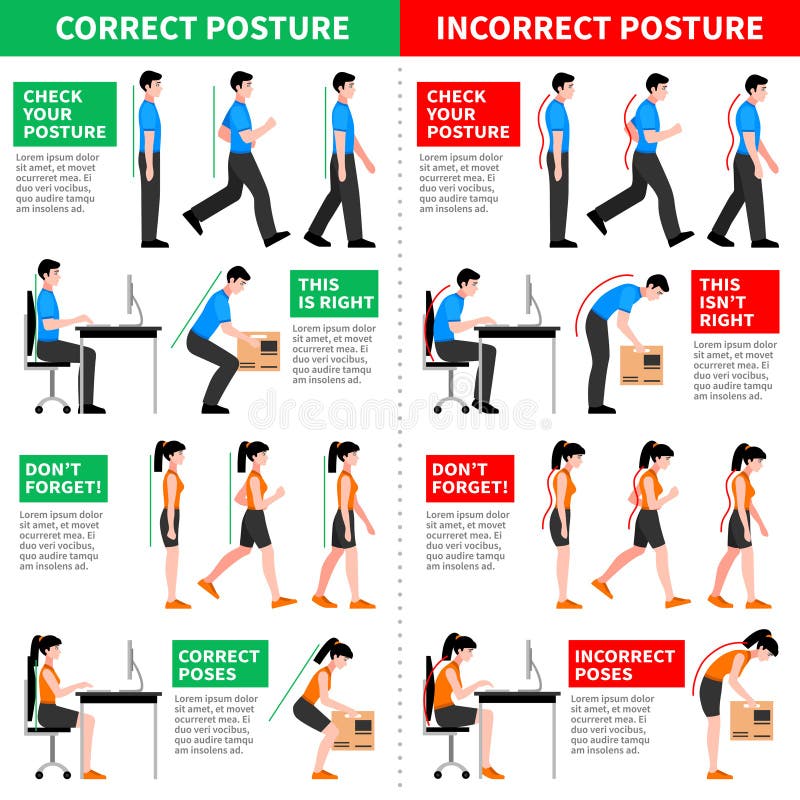 Correct and Incorrect Postures Infographics Stock Vector - Illustration ...