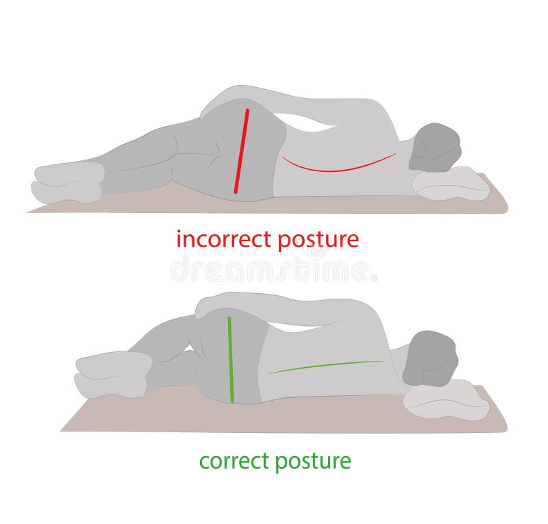 Correct Posture during Sleep. Vector Illustration Stock Vector ...