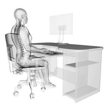 Posture Skeleton Stock Illustrations – 3,354 Posture Skeleton Stock ...