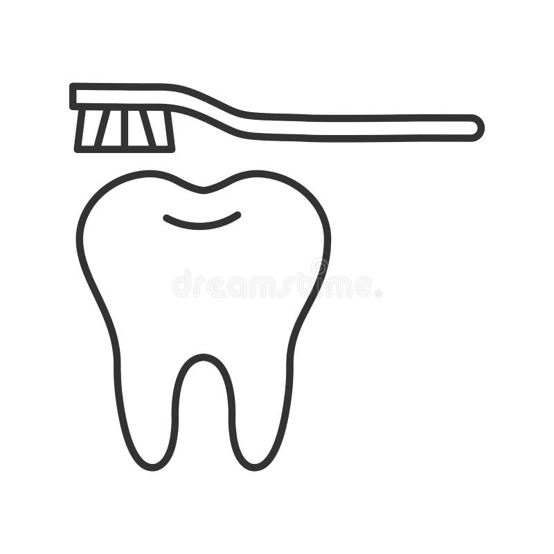Correct Teeth Brushing Linear Icon Stock Vector - Illustration of line ...
