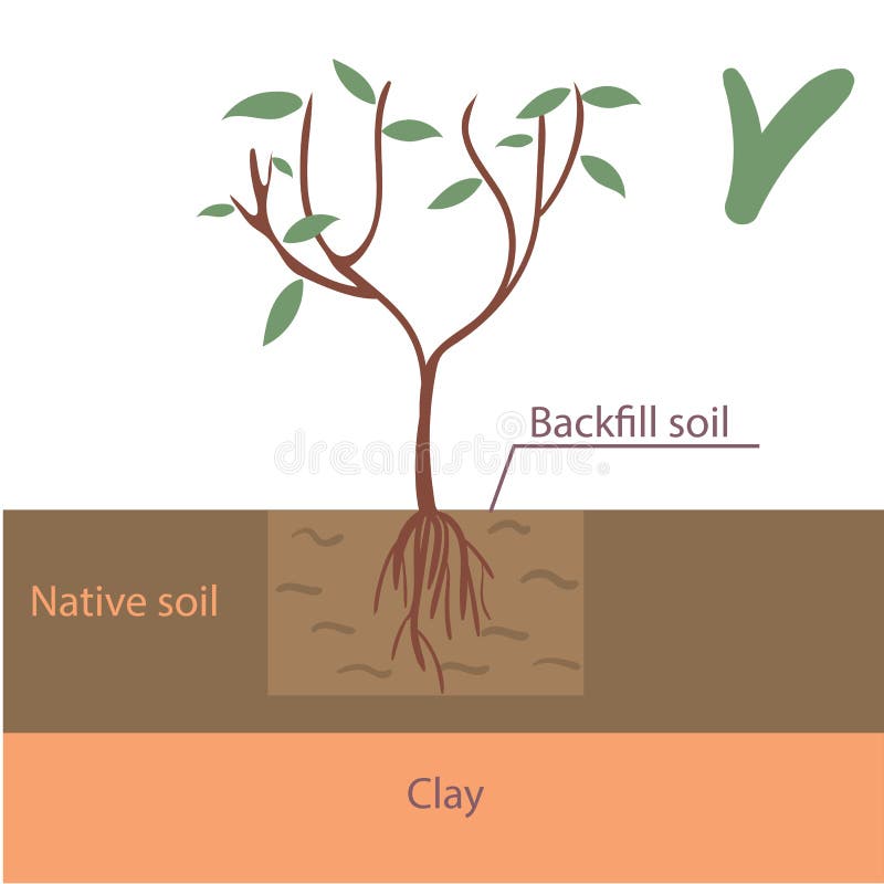 Soil Backfill Stock Illustrations – 7 Soil Backfill Stock Illustrations ...