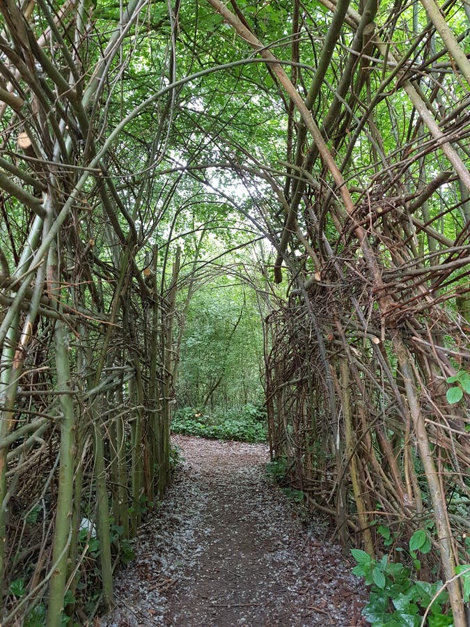 Corridor in Forest Created by Braided Twigs Stock Image - Image of ...