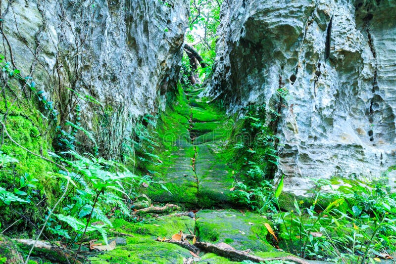 Corridor between the rock stock image. Image of conservation - 43189447