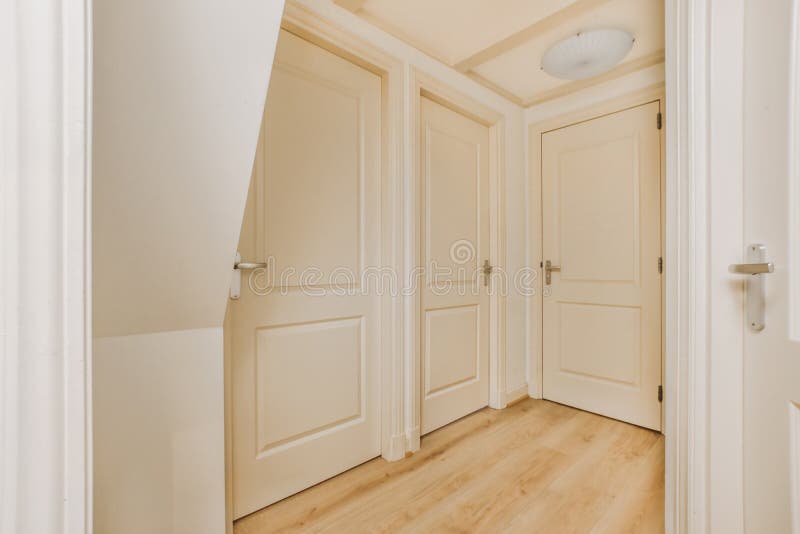 Corridor with three doors stock image. Image of hall - 234119167