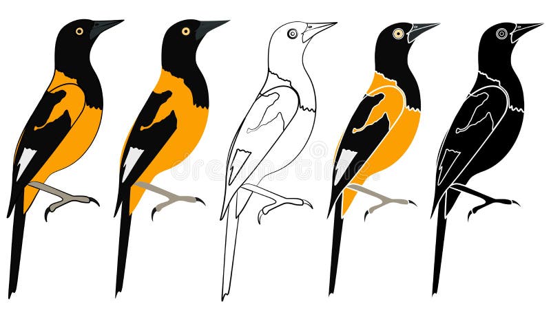 Troupial Icon Logo Design Illustration Stock Illustrations – 7 Troupial ...