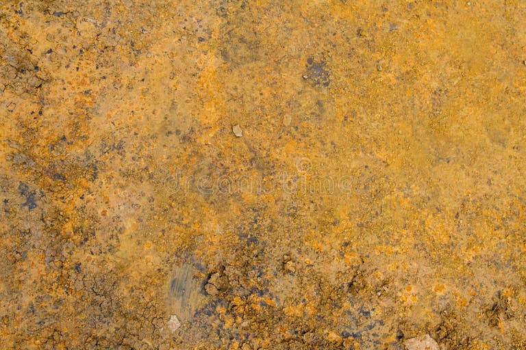 312 Rusty Metal Barrel Texture Detail Stock Photos - Free & Royalty ...