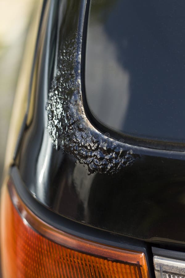 Trunk Latch stock photo. Image of single, isolation, prosperity - 18310052