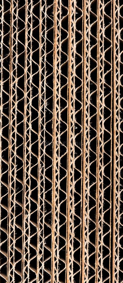 Cardboard Side Texture
