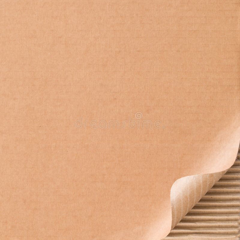 Corrugated Cardboard with Curled Corner Stock Photo - Image of ...