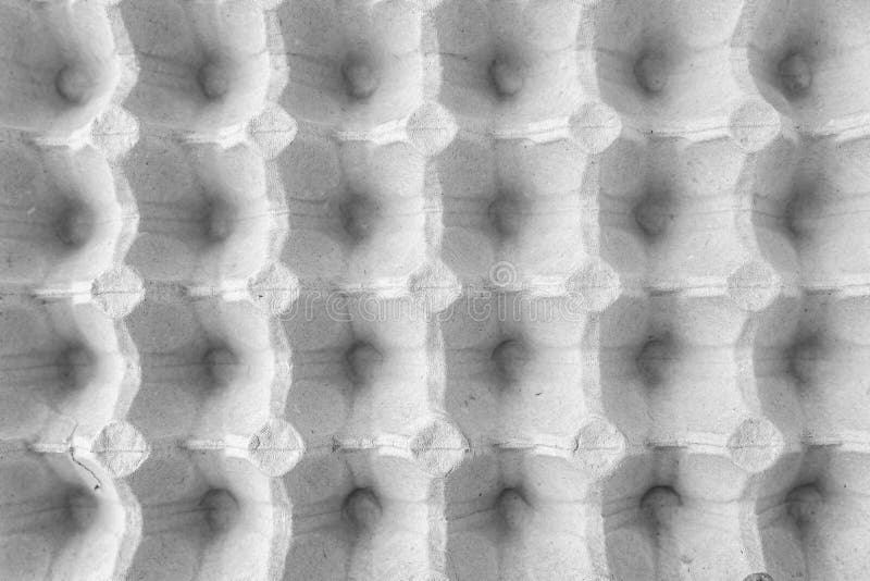 Corrugated Cardboard Texture. Top View of Empty Egg Tray Made of ...