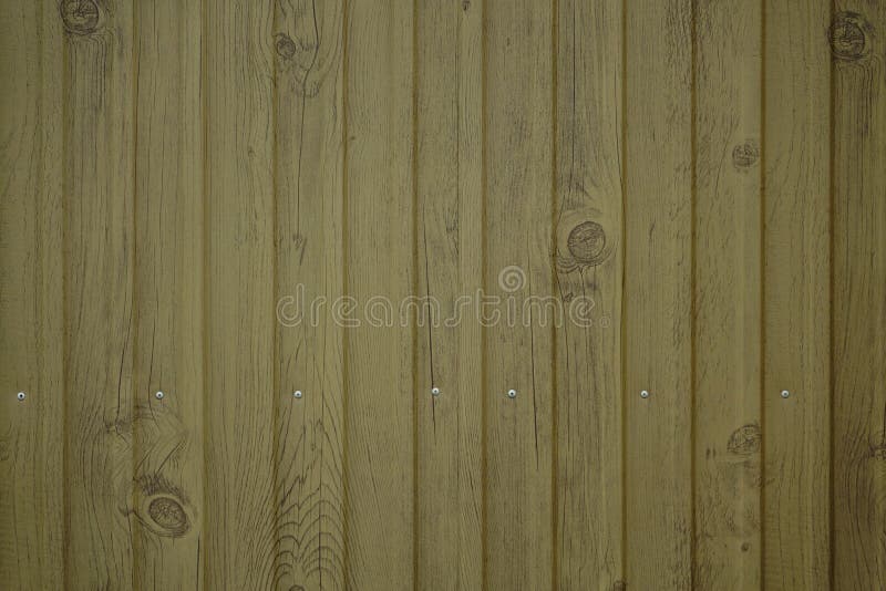 Corrugated Iron is New. the Texture of the Tree. Background. Stock ...